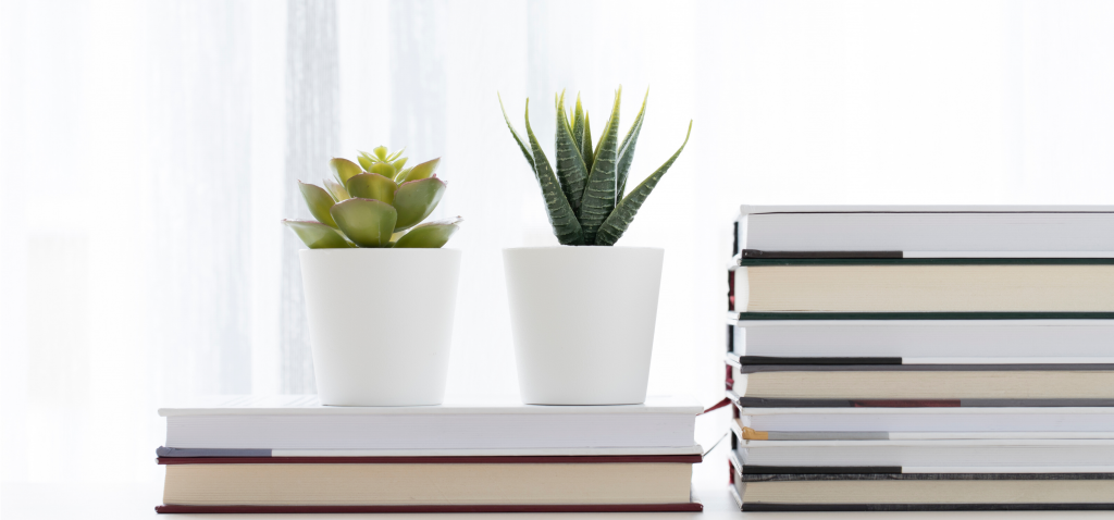 Book | Dr. Sheel Tangri